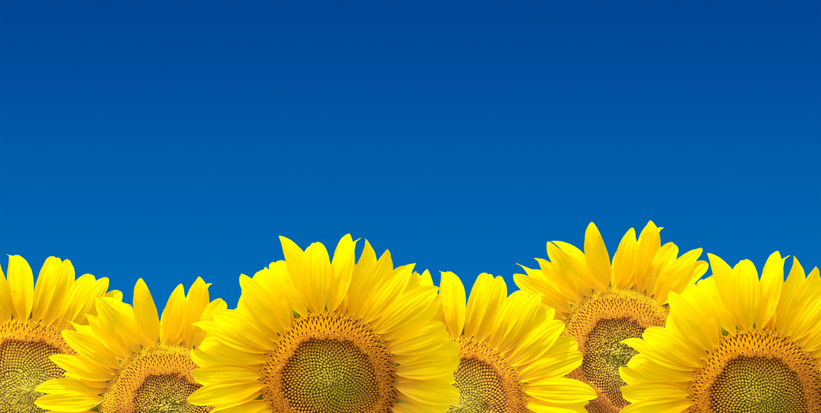 Heliant - healthcare information systems